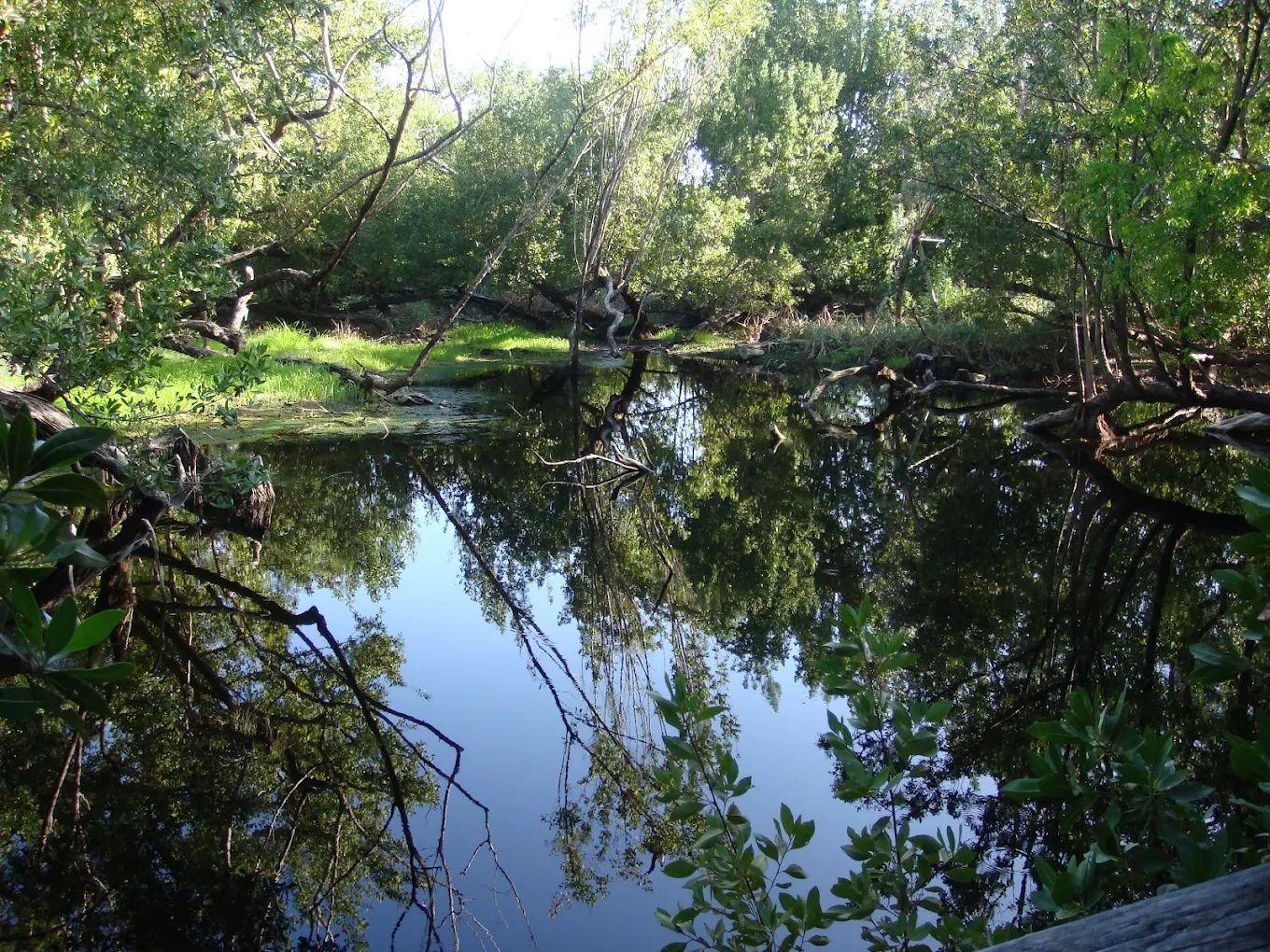 Key West Tropical Forest & Botanical Garden | Florida Keys & Key West