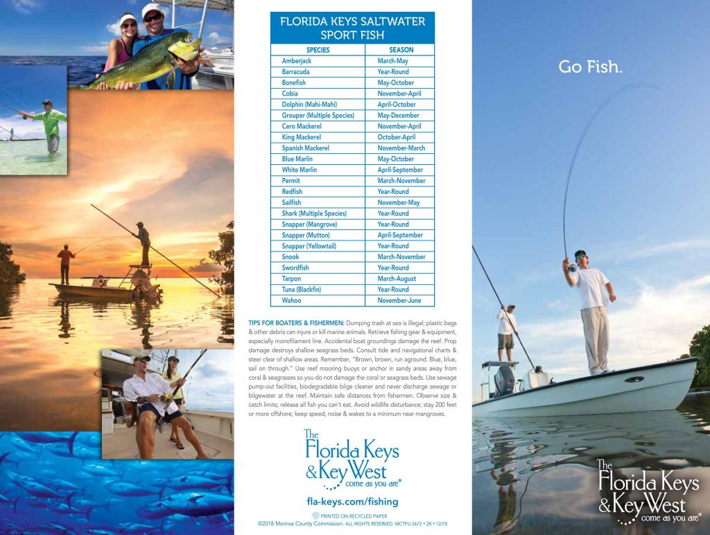 Fishing Information | Florida Keys & Key West