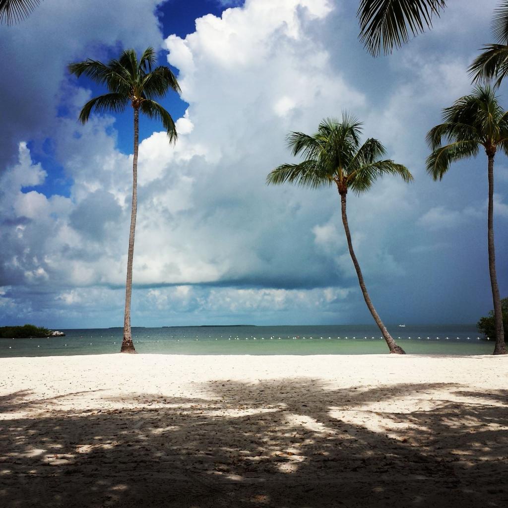 Founders Park | Florida Keys & Key West