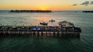 Fred the Tree: The Florida Keys’ ‘Celebri-Tree’ | Florida Keys & Key West