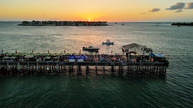 Fred the Tree: The Florida Keys’ ‘Celebri-Tree’ | Florida Keys & Key West