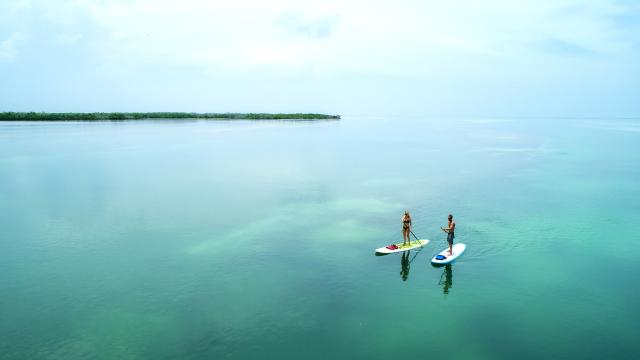 Fausto's Food Palace | Florida Keys & Key West