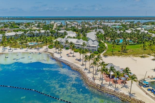 Fred the Tree: The Florida Keys’ ‘Celebri-Tree’ | Florida Keys & Key West