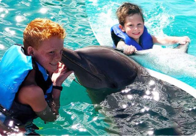 Dolphin Connection | Florida Keys & Key West