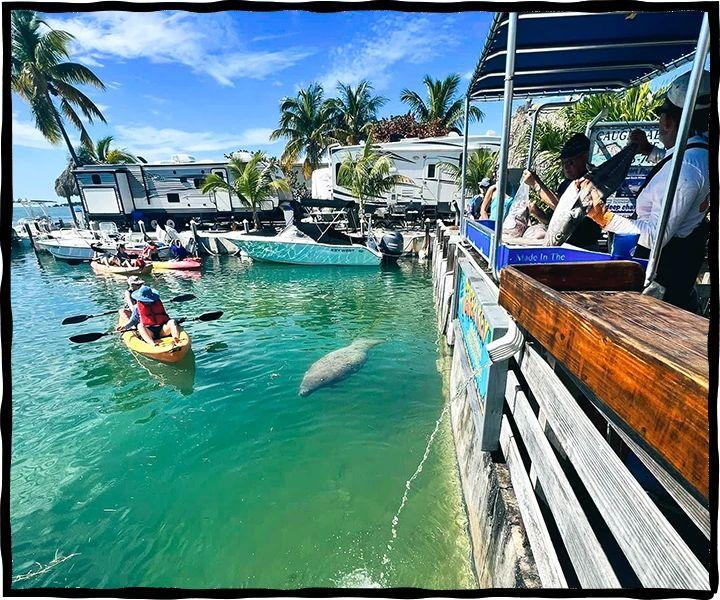 Geiger Key Marina & RV Park & Fish Camp | Florida Keys & Key West
